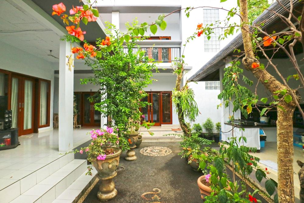 The Bali Bible | Ibus Room